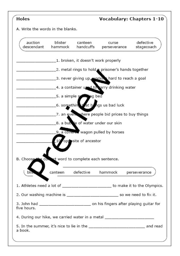 Louis Sachar "Holes" worksheets | Made By Teachers