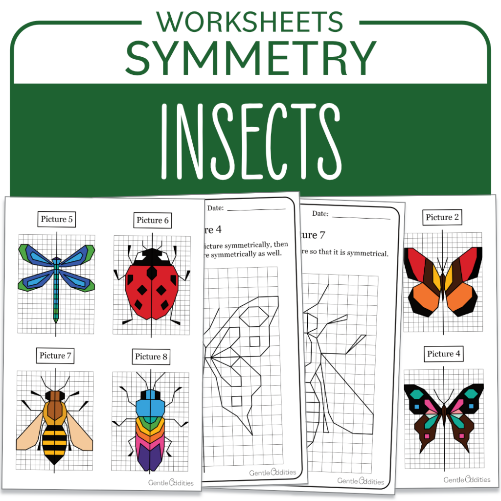 Spring Math activity Insects Butterflies Symmetry and Coloring Math ...