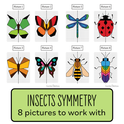 Spring Math activity Insects Butterflies Symmetry and Coloring Math ...