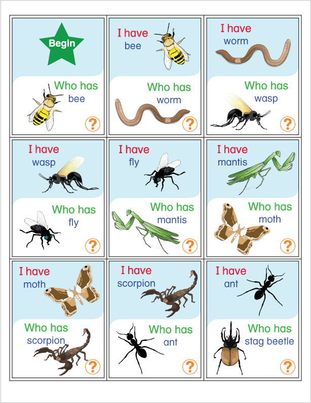 Insect I Have Who Has Activity ESL ELL Newcomer Game | Made By Teachers