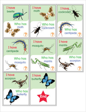 Insect I Have Who Has Activity ESL ELL Newcomer Game | Made By Teachers