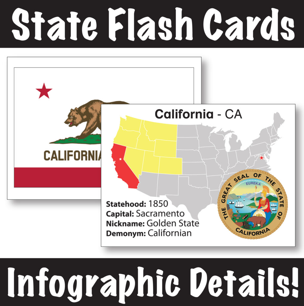 USA State Flag Flash Cards ESL ELL EFL Newcomer | Made By Teachers