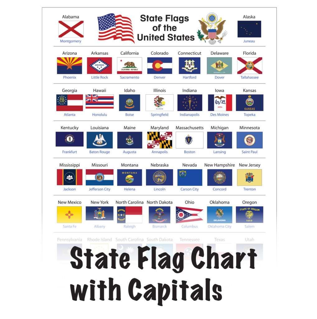 USA State Flag Flash Cards ESL ELL EFL Newcomer | Made By Teachers