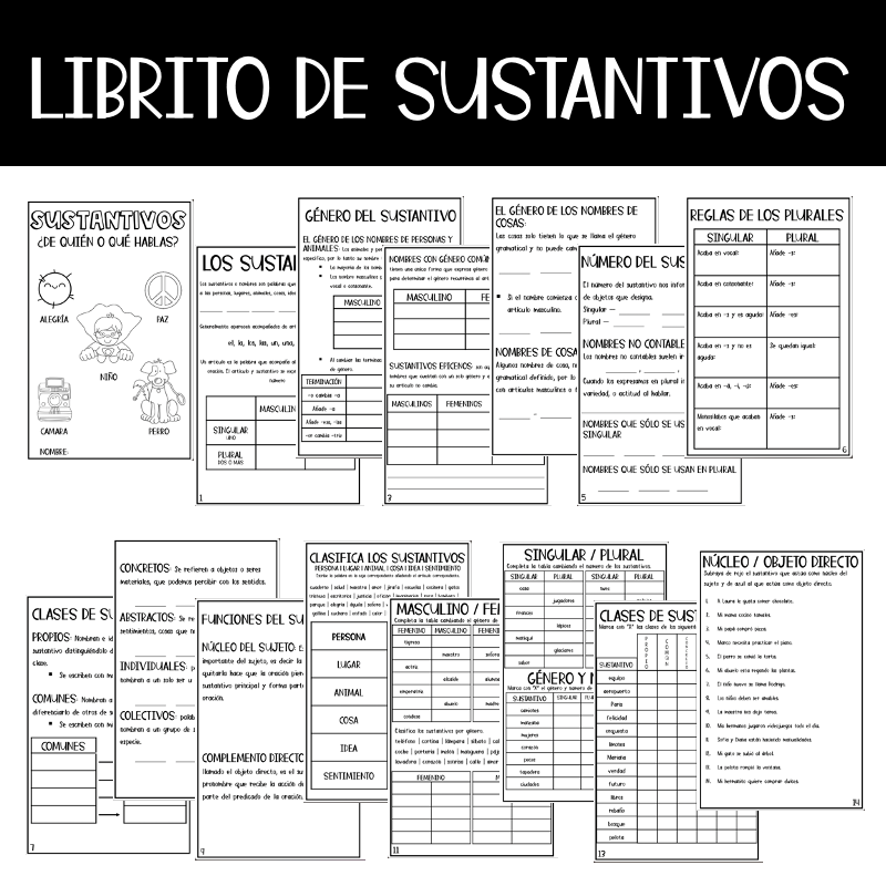 Spanish Nouns / Sustantivos | Made By Teachers