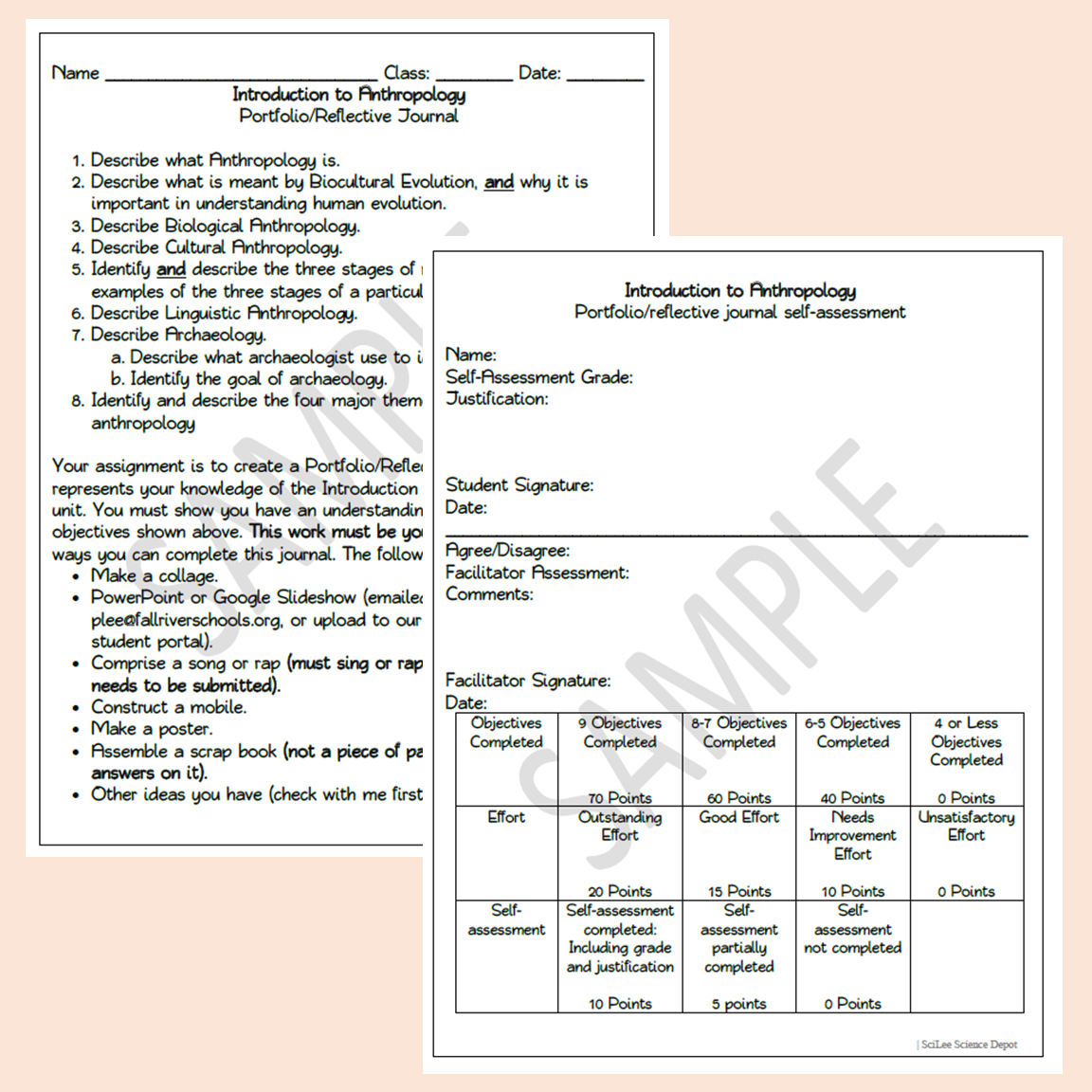 Introduction to Anthropology Assessment Packet | Made By Teachers
