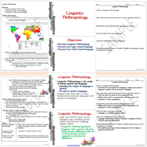 Introduction to Anthropology NO PREP Unit Bundle | Made By Teachers