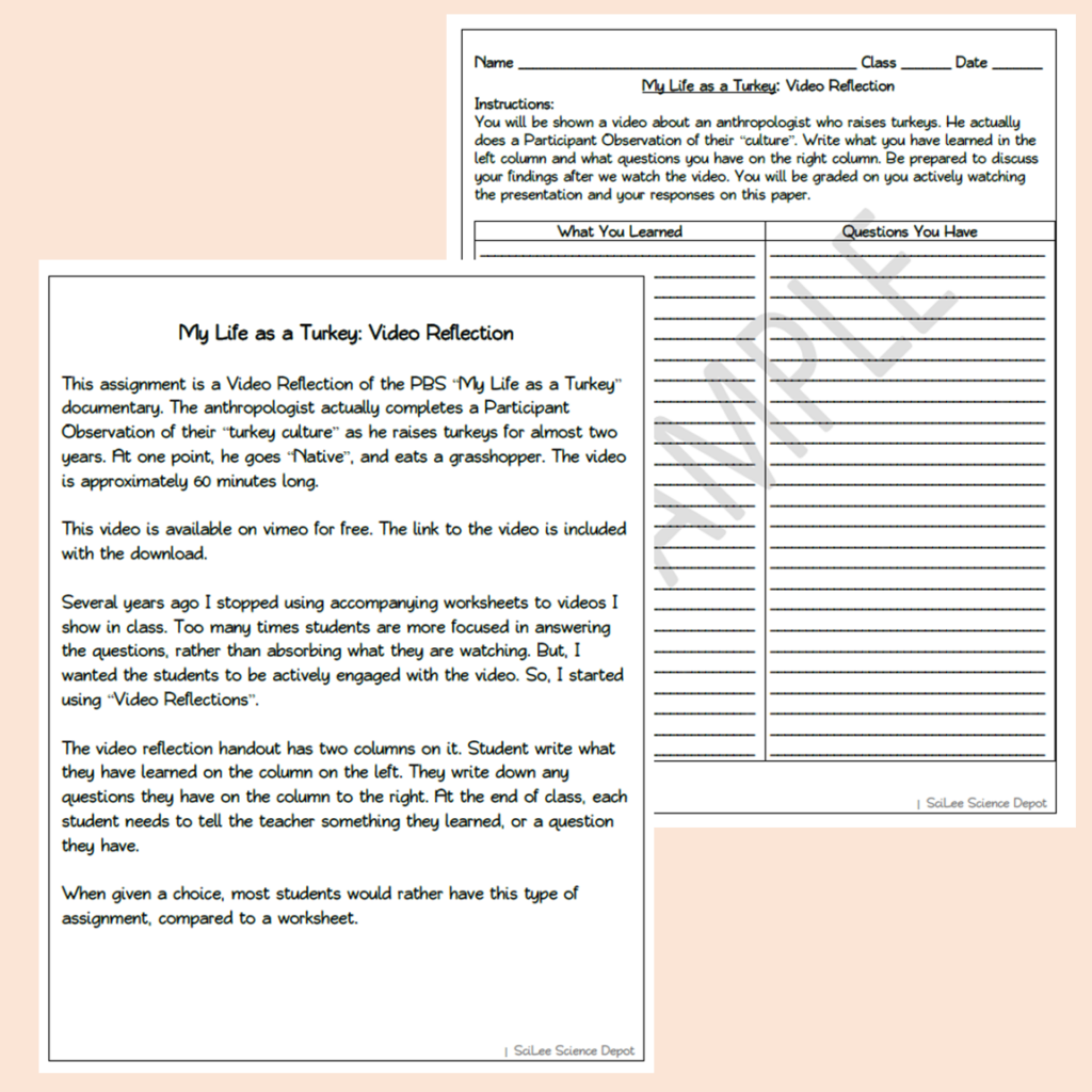 Introduction to Anthropology NO PREP Unit Bundle | Made By Teachers