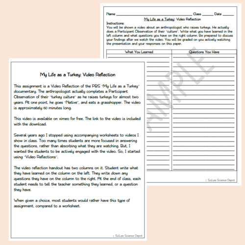 Introduction to Anthropology NO PREP Unit Bundle | Made By Teachers