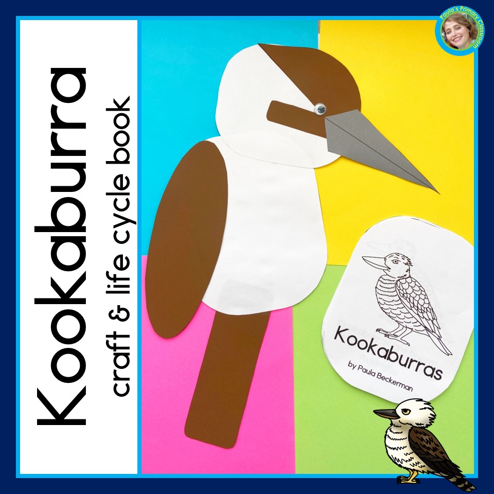 Kookaburra Book Craft and Reading Comprehension | Made By Teachers
