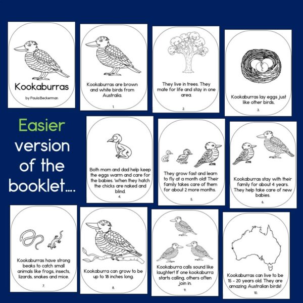 Kookaburra Book Craft and Reading Comprehension | Made By Teachers