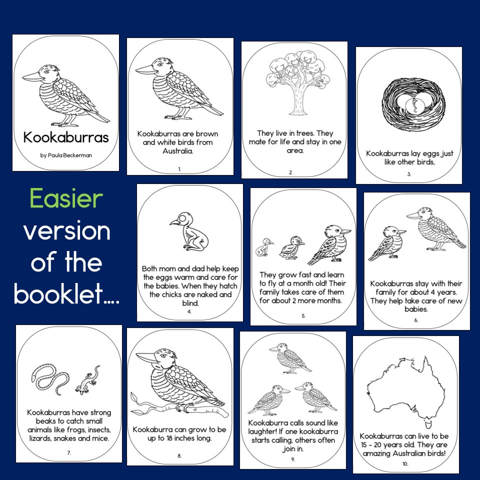 Kookaburra Book Craft and Reading Comprehension | Made By Teachers