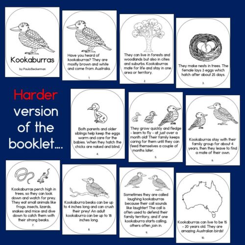 Kookaburra Book Craft and Reading Comprehension | Made By Teachers