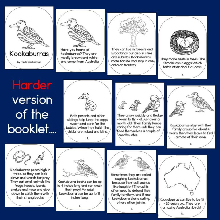 Kookaburra Book Craft and Reading Comprehension | Made By Teachers