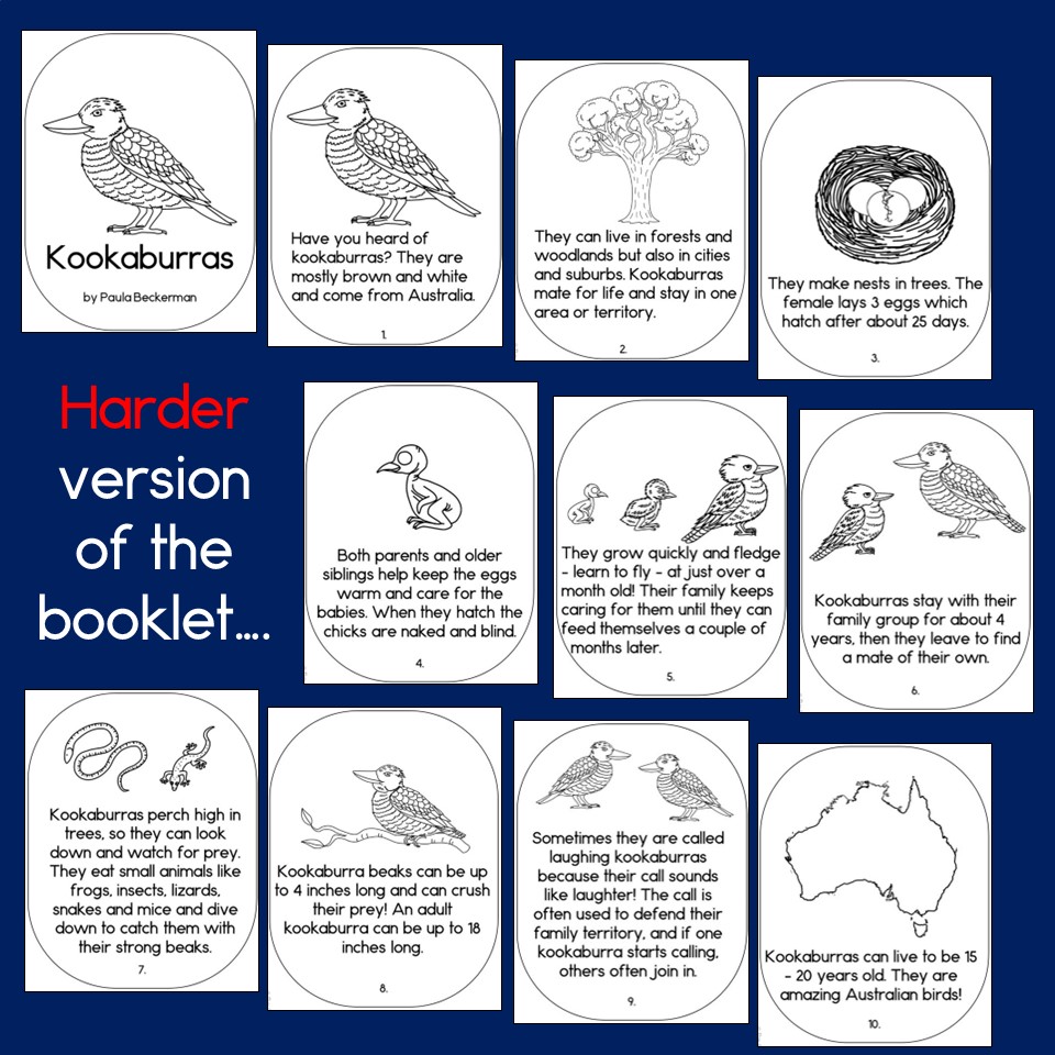 Kookaburra Book Craft and Reading Comprehension | Made By Teachers