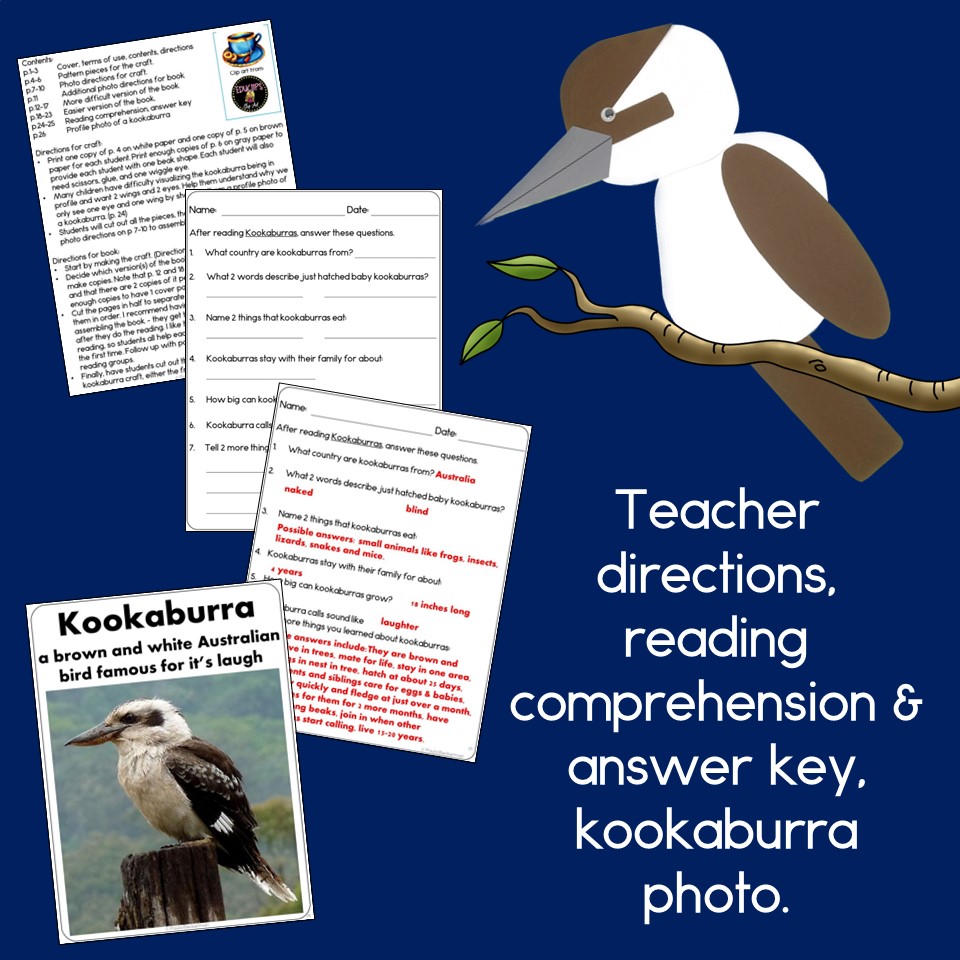 Kookaburra Book Craft and Reading Comprehension | Made By Teachers