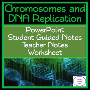 Genetics: Chromosomes & DNA Replication PowerPoint & Worksheet | Made ...