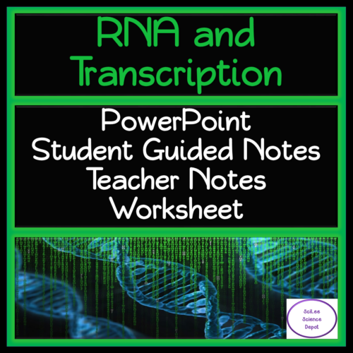 Genetics: RNA & Transcription PowerPoint & Worksheet | Made By Teachers