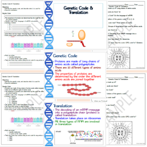 Genetics: Genetic Code & Translation PowerPoint & Worksheet | Made By ...