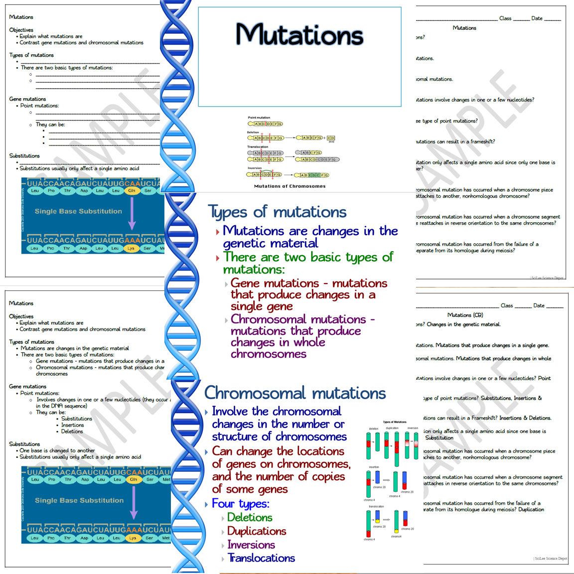 Genetics: Mutations PowerPoint & Worksheet | Made By Teachers