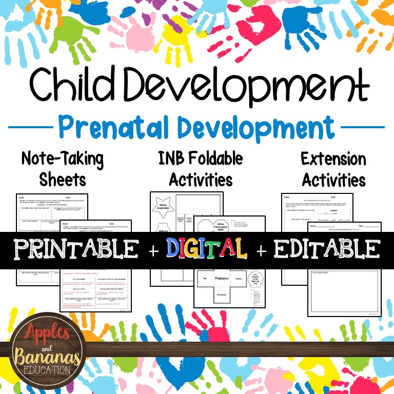 Child Development | Made By Teachers