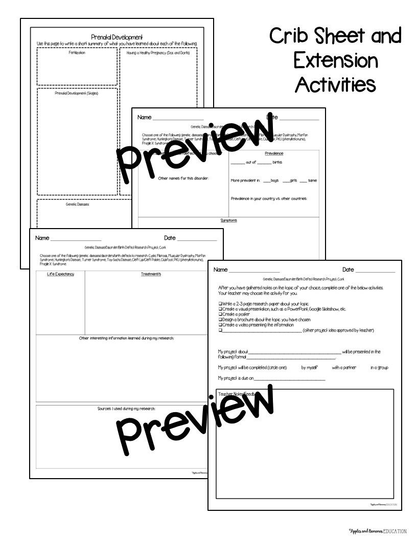 Prenatal Development - Interactive Note-Taking Activities | Made By ...