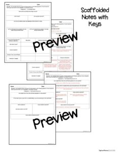 The Newborn - Interactive Note-Taking Activities | Made By Teachers