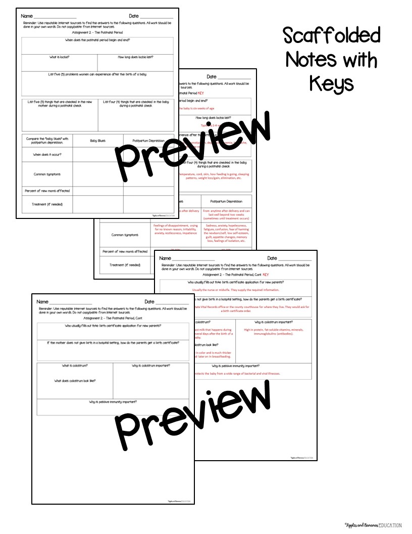 The Newborn - Interactive Note-Taking Activities | Made By Teachers