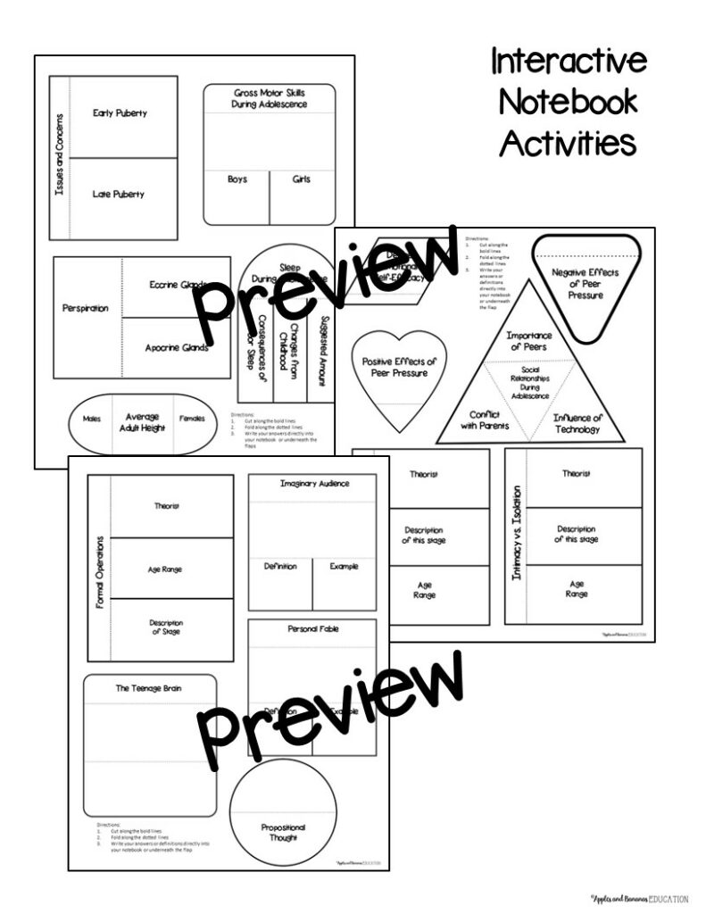 Adolescents - Interactive Note-taking Activities | Made By Teachers