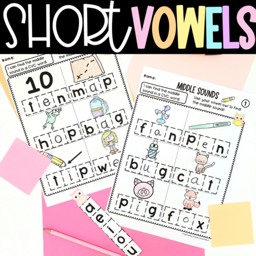 Middle Sound Short Vowel Worksheets Find the Middle Sound Activity ...