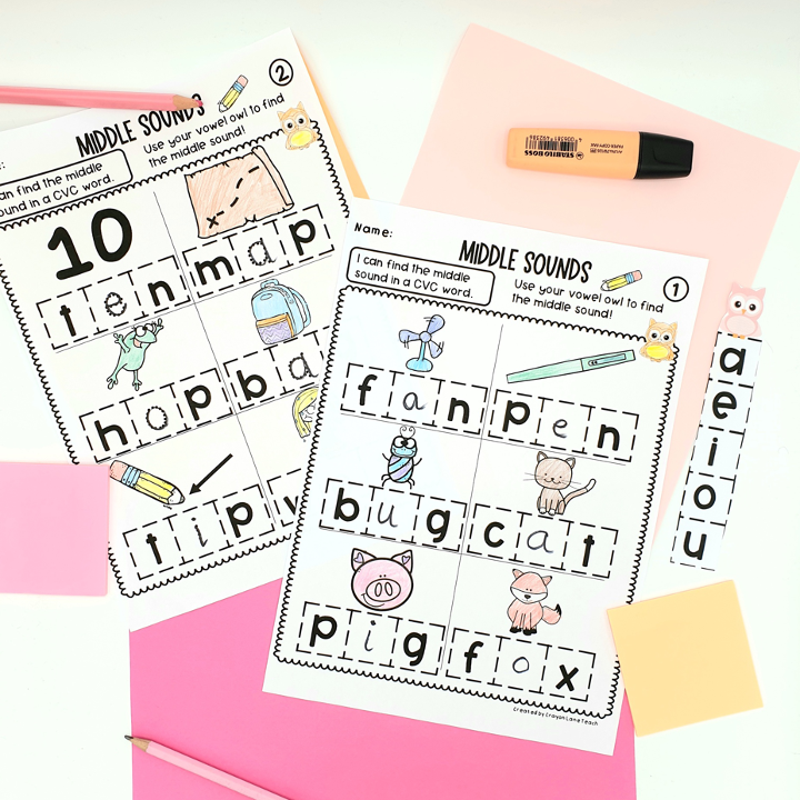 Middle Sound Short Vowel Worksheets Find the Middle Sound Activity ...