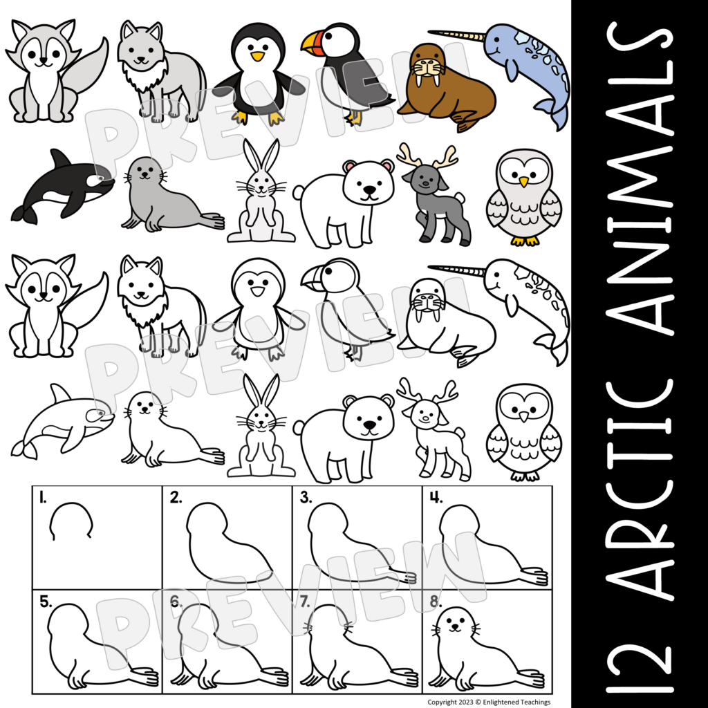 Arctic Animal Directed Drawings Worksheets - Arctic Animal Writing ...