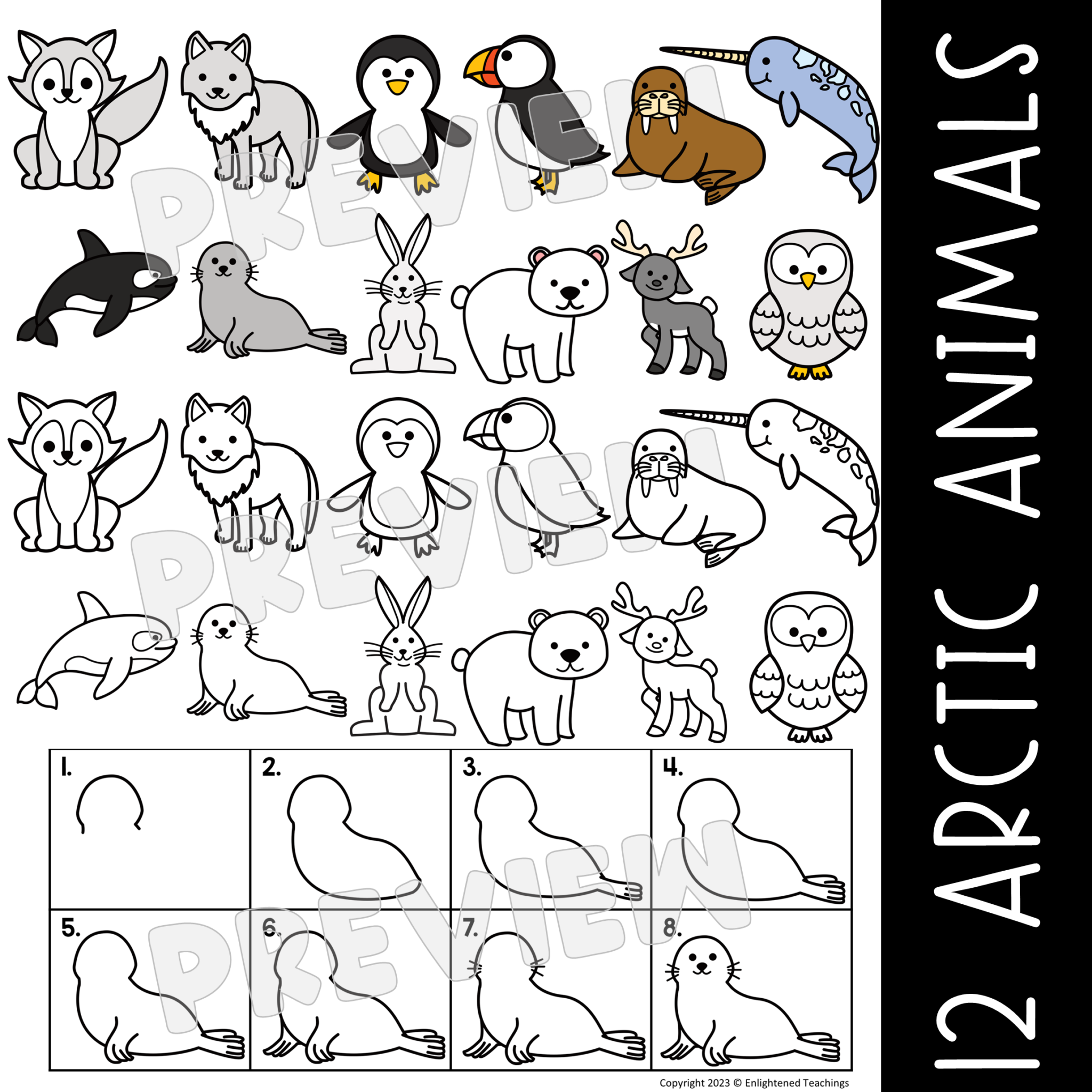 Arctic Animal Directed Drawings Worksheets - Arctic Animal Writing ...