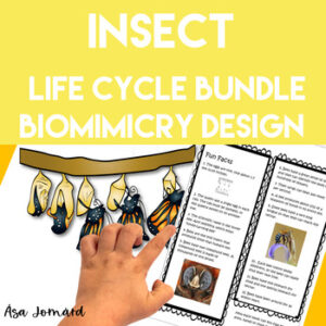 Insect Bundle Life Cycle | PBL Biomimicry Design Inspired by Nature ...