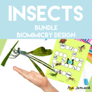 Science Insect Bundle | Biomimicry Design Inspired Nature Compatible ...
