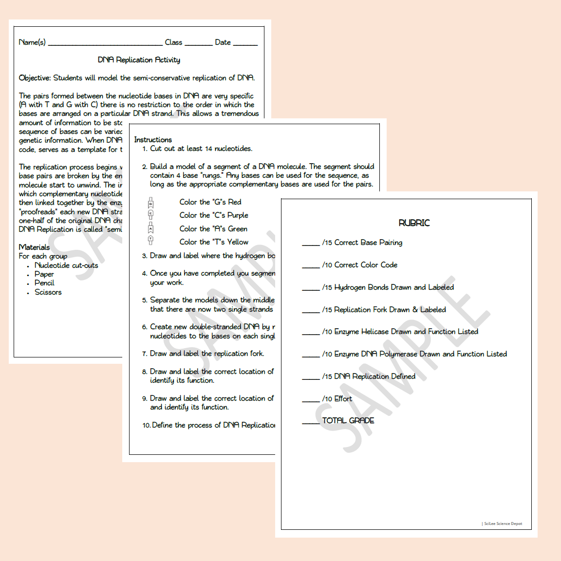 Genetics: DNA Replication Activity | Made By Teachers