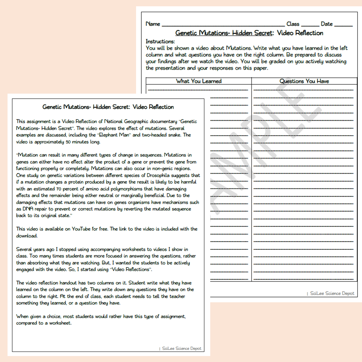 Genetic Mutations Video Refection Activity | Made By Teachers