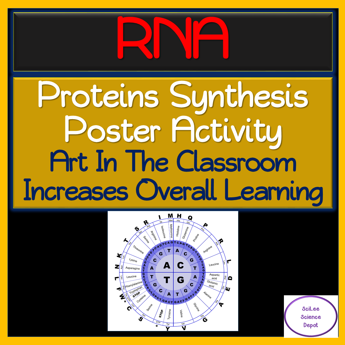 Genetics: RNA Protein Synthesis Poster Activity | Made By Teachers