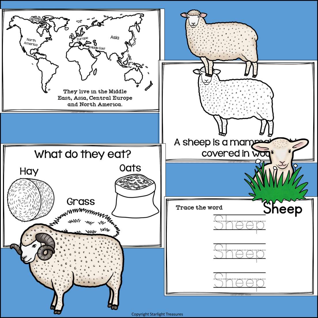 Sheep Mini Book for Early Readers - Animal Study | Made By Teachers
