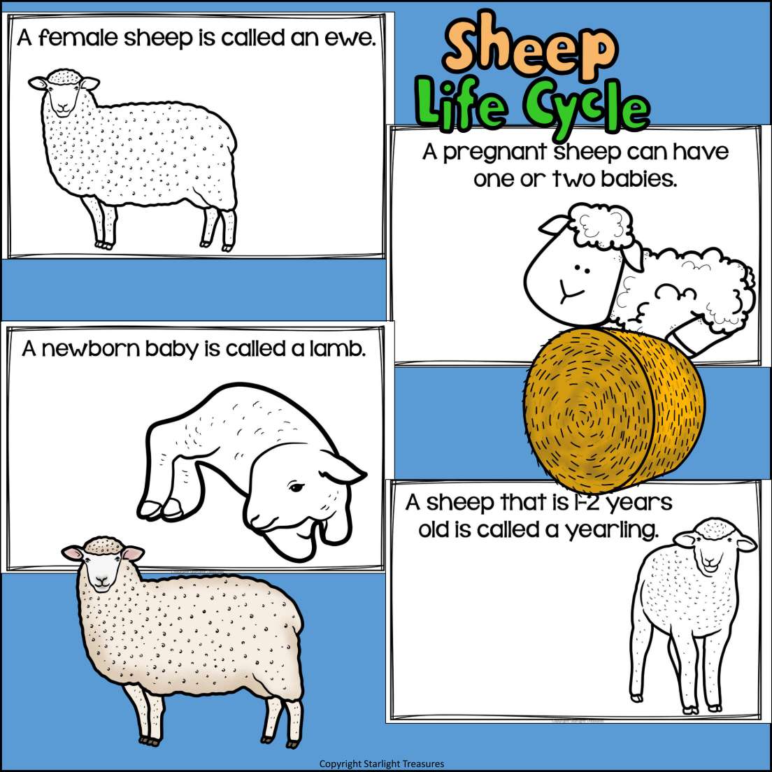 Sheep Mini Book for Early Readers - Animal Study | Made By Teachers