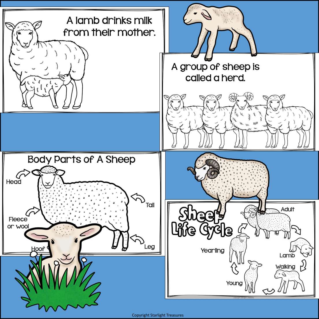 Sheep Mini Book for Early Readers - Animal Study | Made By Teachers
