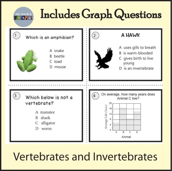 Animal Classification Invertebrates and Vertebrates Task Cards | Made ...