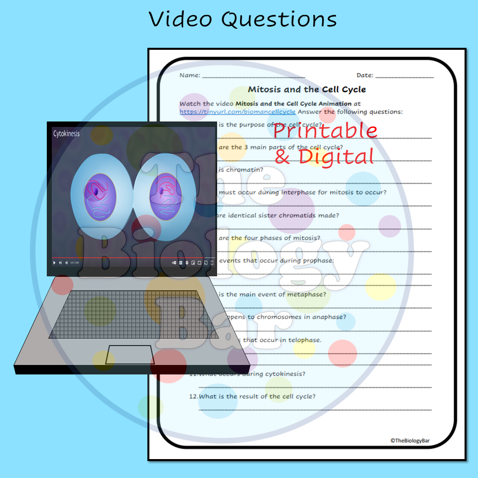Bioman Cell Cycle Simulation & Video | Made By Teachers