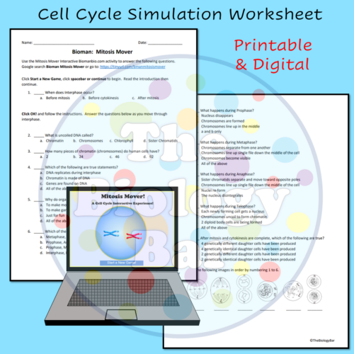 Bioman Cell Cycle Simulation & Video | Made By Teachers