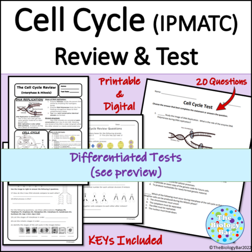Cell Cycle Interphase and Mitosis Review and Test Modified and Digital ...