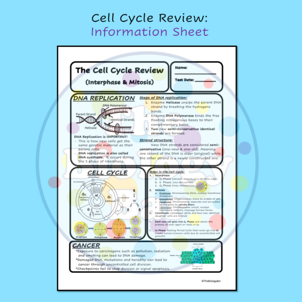 Cell Cycle Interphase and Mitosis Review and Test Modified and Digital ...