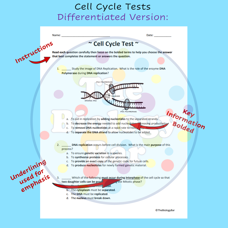 Cell Cycle Interphase and Mitosis Review and Test Modified and Digital ...
