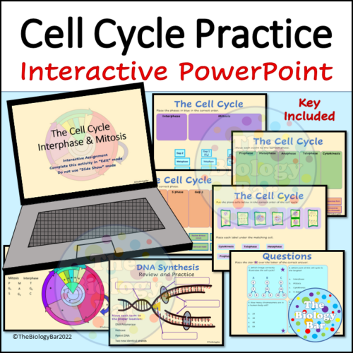 Cell Cycle Mitosis Unit Bundle | Made By Teachers