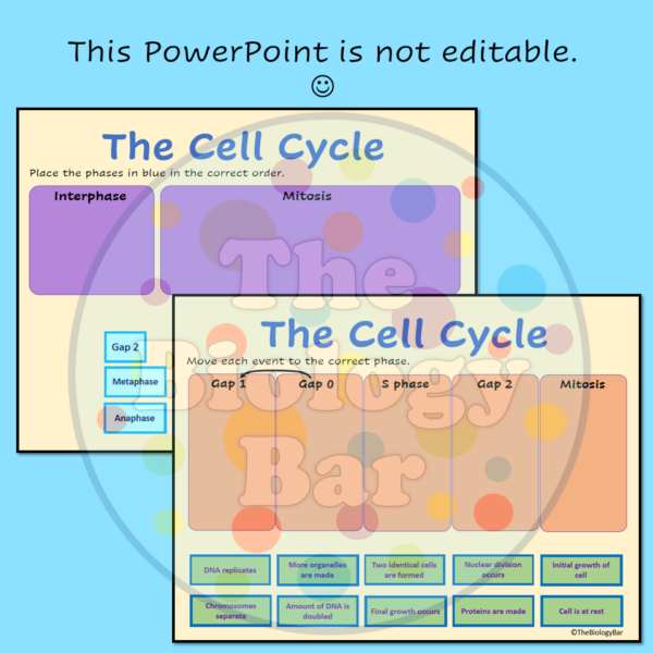 Cell Cycle Mitosis Interactive PowerPoint | Made By Teachers