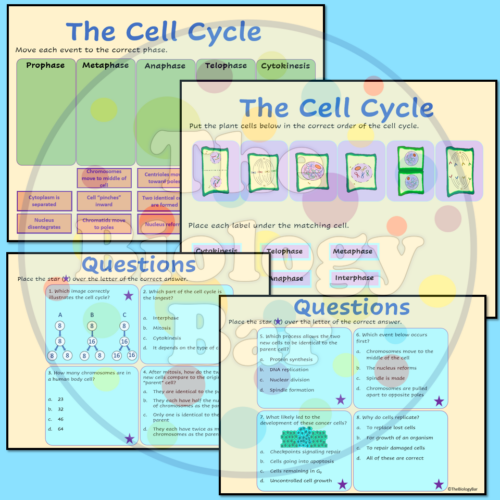 Cell Cycle Mitosis Interactive PowerPoint | Made By Teachers