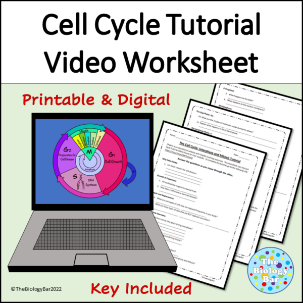 Cell Cycle Tutorial Video and Questions | Made By Teachers